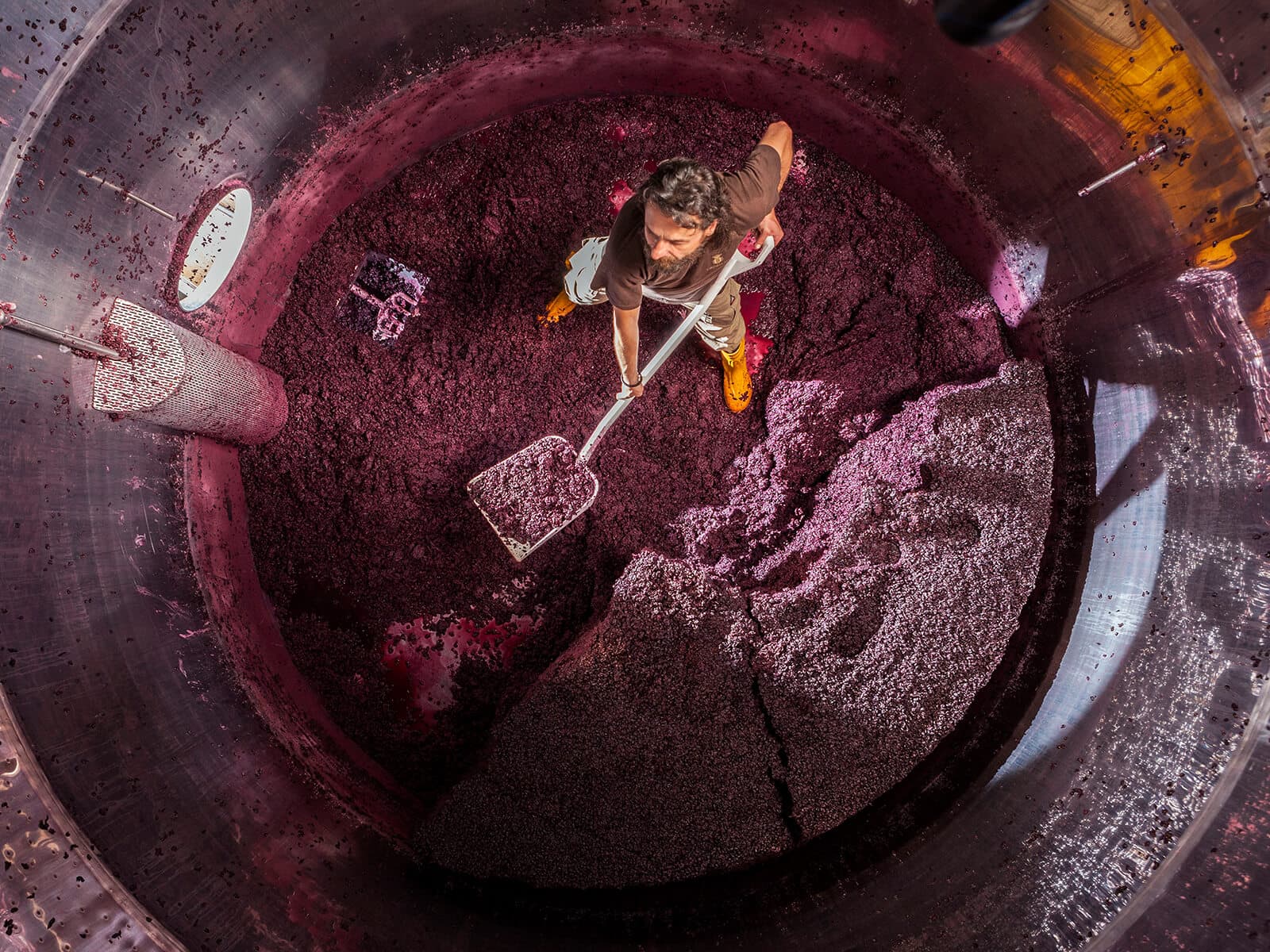 Philosophy and Terroir | Ornellaia