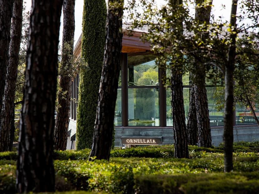 History and Ownership | Ornellaia